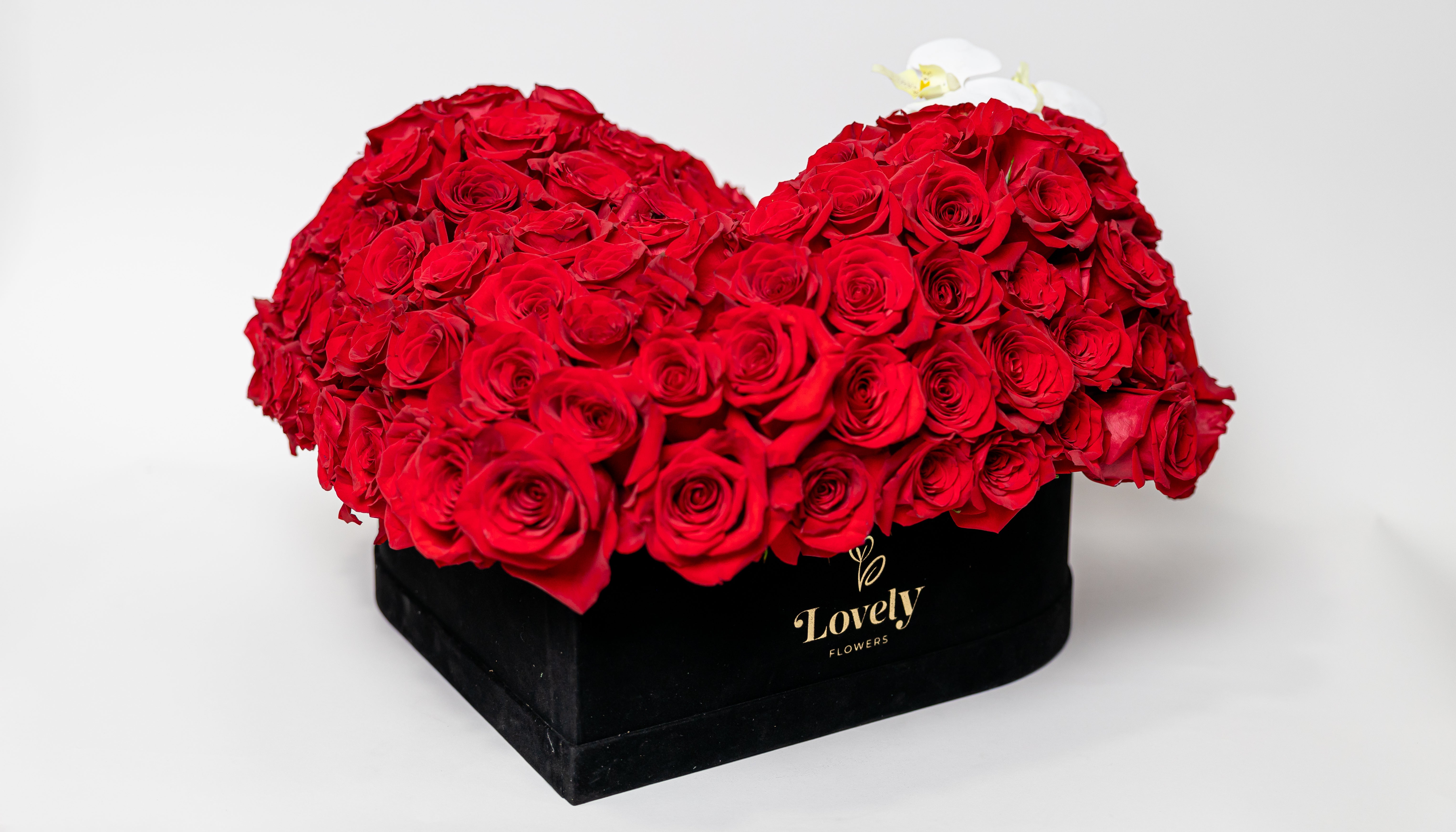 Super big Heart box of 150 Roses – Lovely Flowers